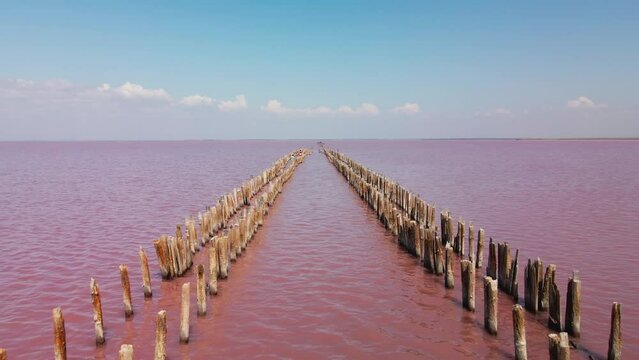 Muckleheads Imagens – Procure 1,286 fotos, vetores e vídeos | Adobe Stock