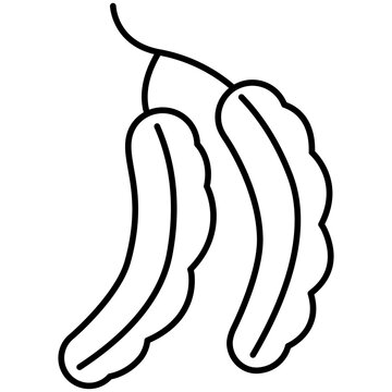 Tamarind Line Drawing