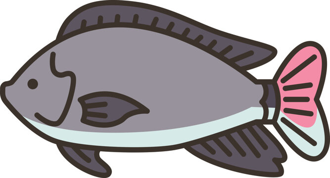 Tilapia Clipart