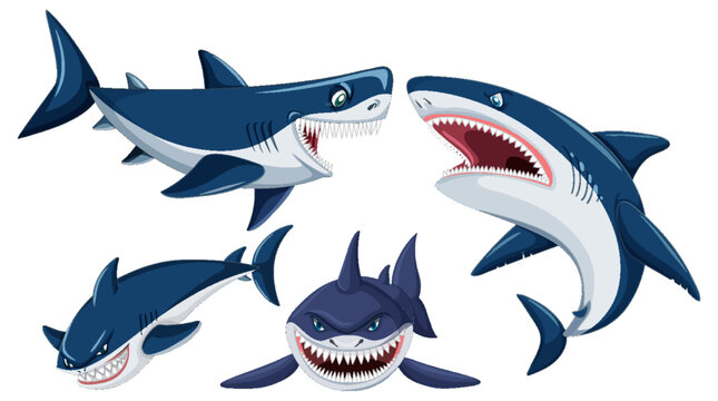 Great White Shark Clip Art