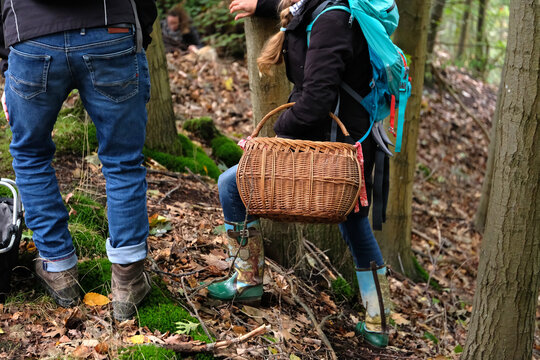 Reconnoiter bilder – Bläddra bland 33,600 stockfoton, vektorer och ...