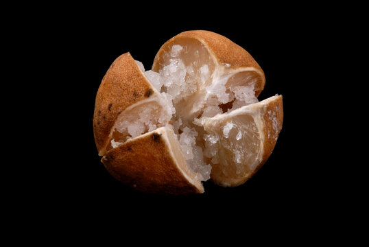 Lunu Images – Browse 28 Stock Photos, Vectors, and Video | Adobe Stock