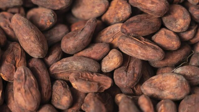 Cacau Images – Browse 3,414 Stock Photos, Vectors, and Video | Adobe Stock