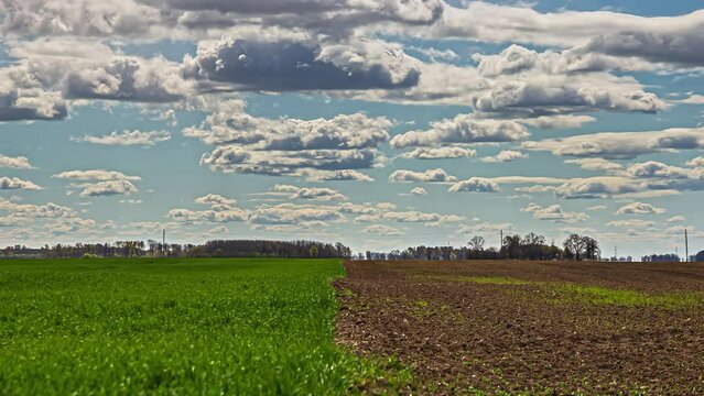 Single Crop And Multi Crop Farming