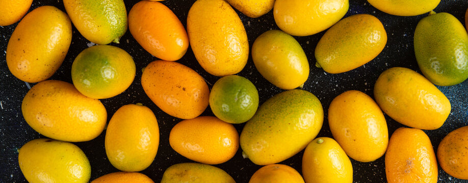 Lobulus Bilder – Durchsuchen 14,997 Archivfotos, Vektorgrafiken und ...