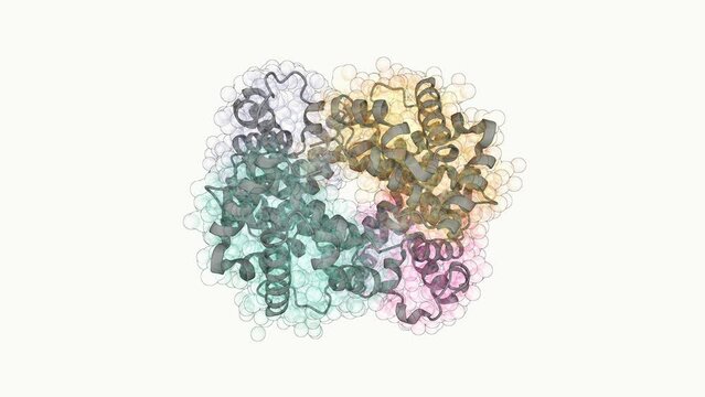 รูปภาพHemoglobin – เลือกดูภาพถ่ายสต็อก เวกเตอร์ และวิดีโอ54,450 | Adobe ...