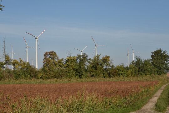 Prellen Bilder – Durchsuchen 1,644 Archivfotos, Vektorgrafiken und ...