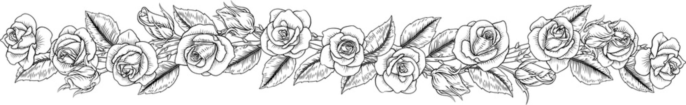 Rose Line Drawing Border Images – Browse 32,829 Stock Photos, Vectors ...