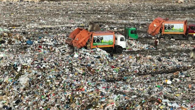 「Dumpa」の写真素材 | 5件の無料イラスト画像 | Adobe Stock