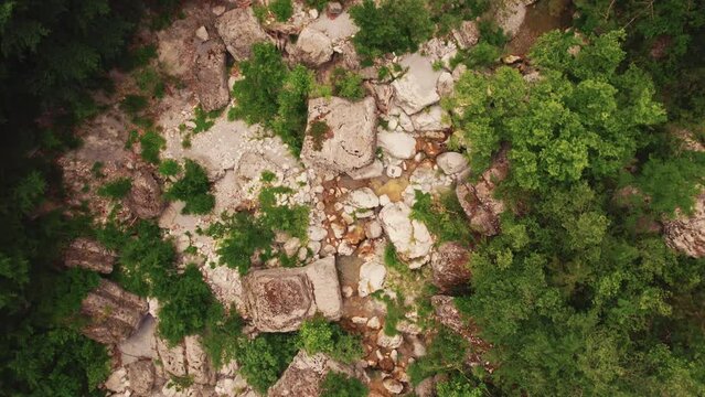 Prionia Images – Browse 187 Stock Photos, Vectors, and Video | Adobe Stock