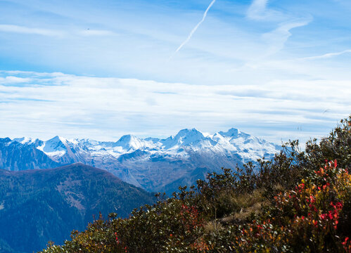 Pixi photos, images, assets | Adobe Stock