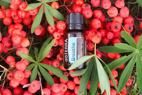 Doterra Bilder – Durchsuchen 2,972 Archivfotos, Vektorgrafiken und ...