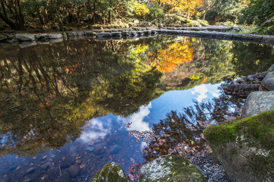 รูปภาพKomis – เลือกดูภาพถ่ายสต็อก เวกเตอร์ และวิดีโอ3,252 | Adobe Stock