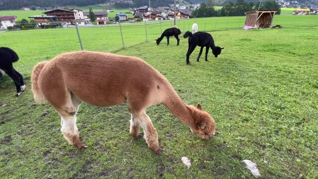 K4 Bilder – Durchsuchen 303 Archivfotos, Vektorgrafiken und Videos ...