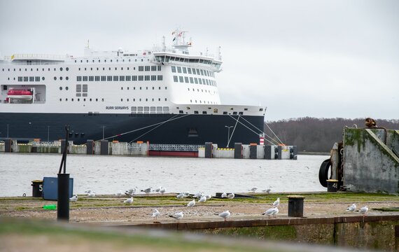 รูปภาพKarlshamn – เลือกดูภาพถ่ายสต็อก เวกเตอร์ และวิดีโอ250 | Adobe Stock