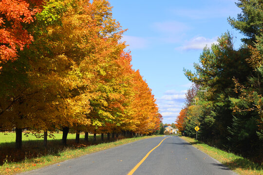 รูปภาพTownships – เลือกดูภาพถ่ายสต็อก เวกเตอร์ และวิดีโอ41,213 | Adobe ...