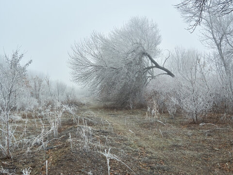 Ryzhkov Oleksandr Fotos, Bilder, Stockmedien | Adobe Stock