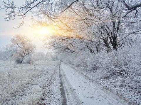 Ryzhkov Oleksandr Fotos, Bilder, Stockmedien | Adobe Stock