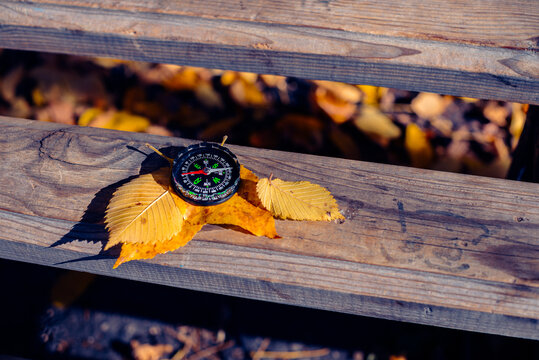 Compass Background"」の写真素材 | 77件の無料イラスト画像 | Adobe Stock