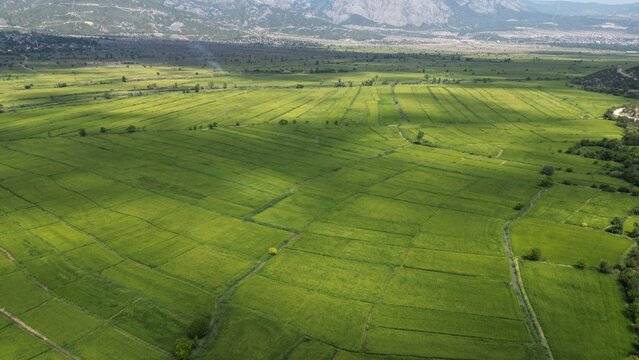 รูปภาพCorum – เลือกดูภาพถ่ายสต็อก เวกเตอร์ และวิดีโอ1,185 | Adobe Stock