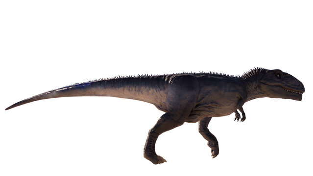 Afbeeldingen over Giganotosaurus – Blader in stockfoto's, vectoren en ...