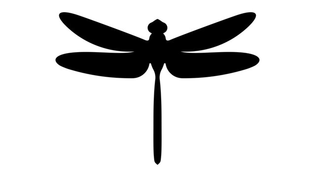 Dragonfly Vector
