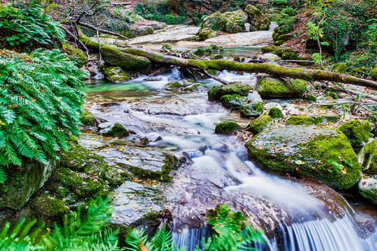 Ruisselet Images – Parcourir 75,511 le catalogue de photos, vecteurs et ...