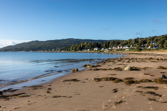 รูปภาพClyde – เลือกดูภาพถ่ายสต็อก เวกเตอร์ และวิดีโอ4,236 | Adobe Stock