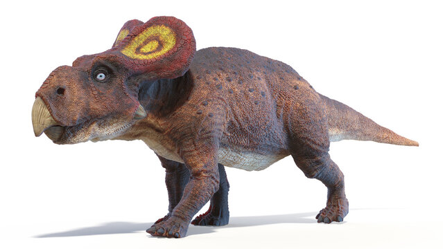 Protoceratops