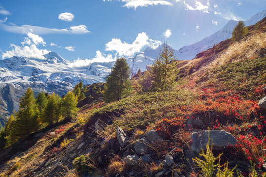 รูปภาพSchweizer – เลือกดูภาพถ่ายสต็อก เวกเตอร์ และวิดีโอ20,473 | Adobe ...