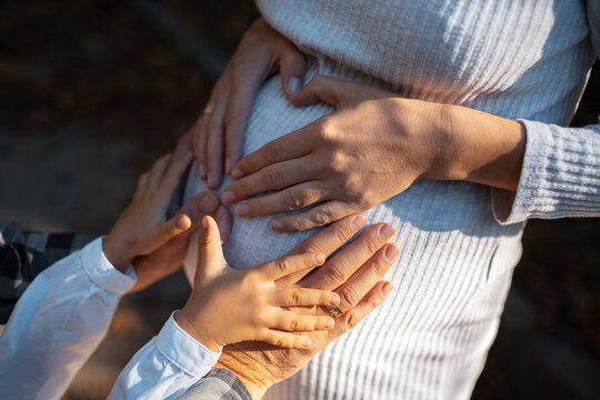 Imágenes de Maternal: descubre bancos de fotos, ilustraciones, vectores ...