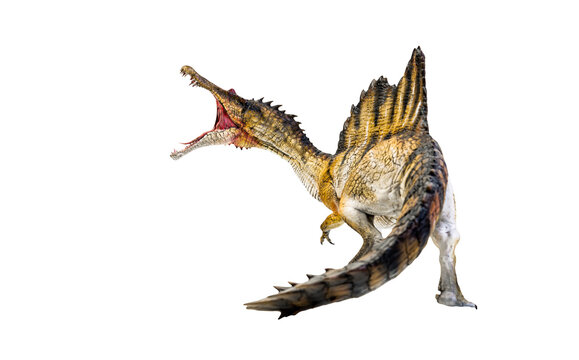 Primeval Spinosaurus