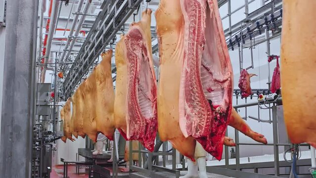 "Without Head" Images – Browse 370 Stock Photos, Vectors, and Video ...