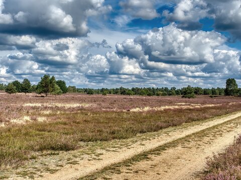 Sandweg Images – Browse 1,170 Stock Photos, Vectors, and Video | Adobe ...