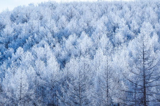 Imágenes de Helada: descubre bancos de fotos, ilustraciones, vectores y ...