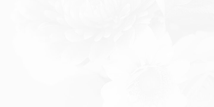 Pixel Park photos, images, assets | Adobe Stock