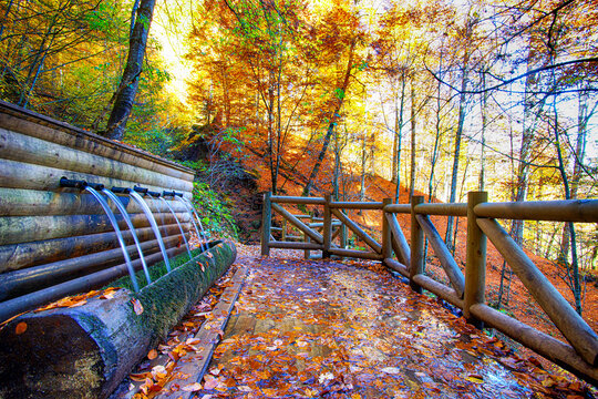 Siebensee Bilder – Durchsuchen 70,682 Archivfotos, Vektorgrafiken und ...