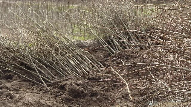 Compensatory Images – Browse 209 Stock Photos, Vectors, and Video ...