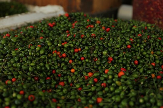 Chiltepe 이미지 – 찾아보기 245 스톡 사진, 벡터 및 비디오 | Adobe Stock