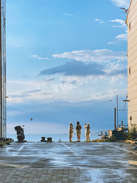 「Daebudo」の写真素材 | 239件の無料イラスト画像 | Adobe Stock