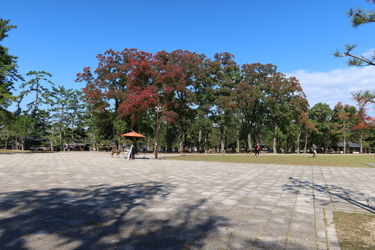 Shika-Senbei Images – Browse 387 Stock Photos, Vectors, and Video ...