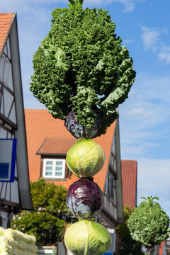 Kohlarten Bilder – Durchsuchen 24,900 Archivfotos, Vektorgrafiken und ...