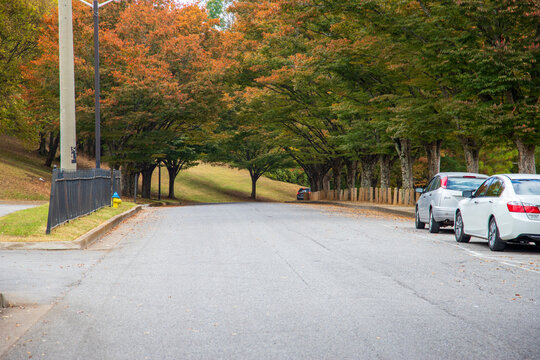 Morningside Images – Browse 515 Stock Photos, Vectors, and Video ...