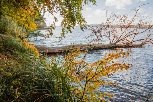 Tollense Images – Browse 53 Stock Photos, Vectors, and Video | Adobe Stock