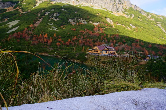 Plese Images – Browse 61 Stock Photos, Vectors, and Video | Adobe Stock