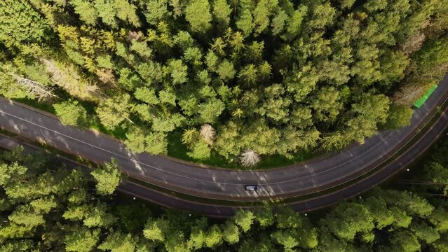 Semigallia Images – Browse 931 Stock Photos, Vectors, and Video | Adobe ...