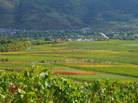 Nehren Bilder – Durchsuchen 145 Archivfotos, Vektorgrafiken und Videos ...