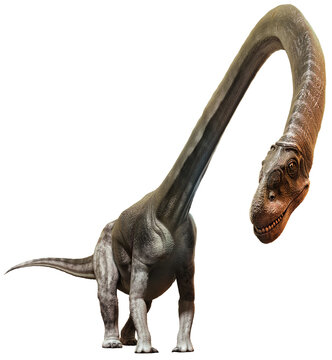 Omeisaurus-Bilder: Stock-Fotos & -Videos. | Adobe Stock