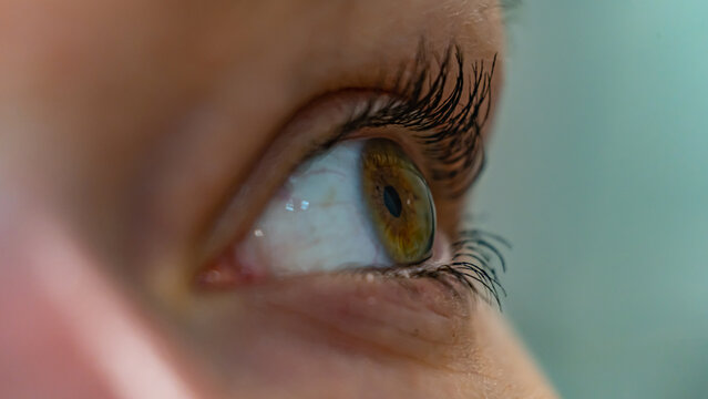 Oko 이미지 – 찾아보기 10,686 스톡 사진, 벡터 및 비디오 | Adobe Stock