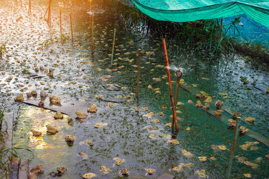 Sufficient Images – Browse 3,728 Stock Photos, Vectors, and Video ...